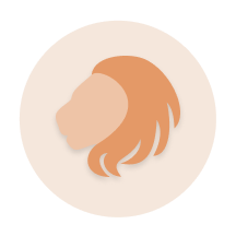 Discover Fortune Cookie